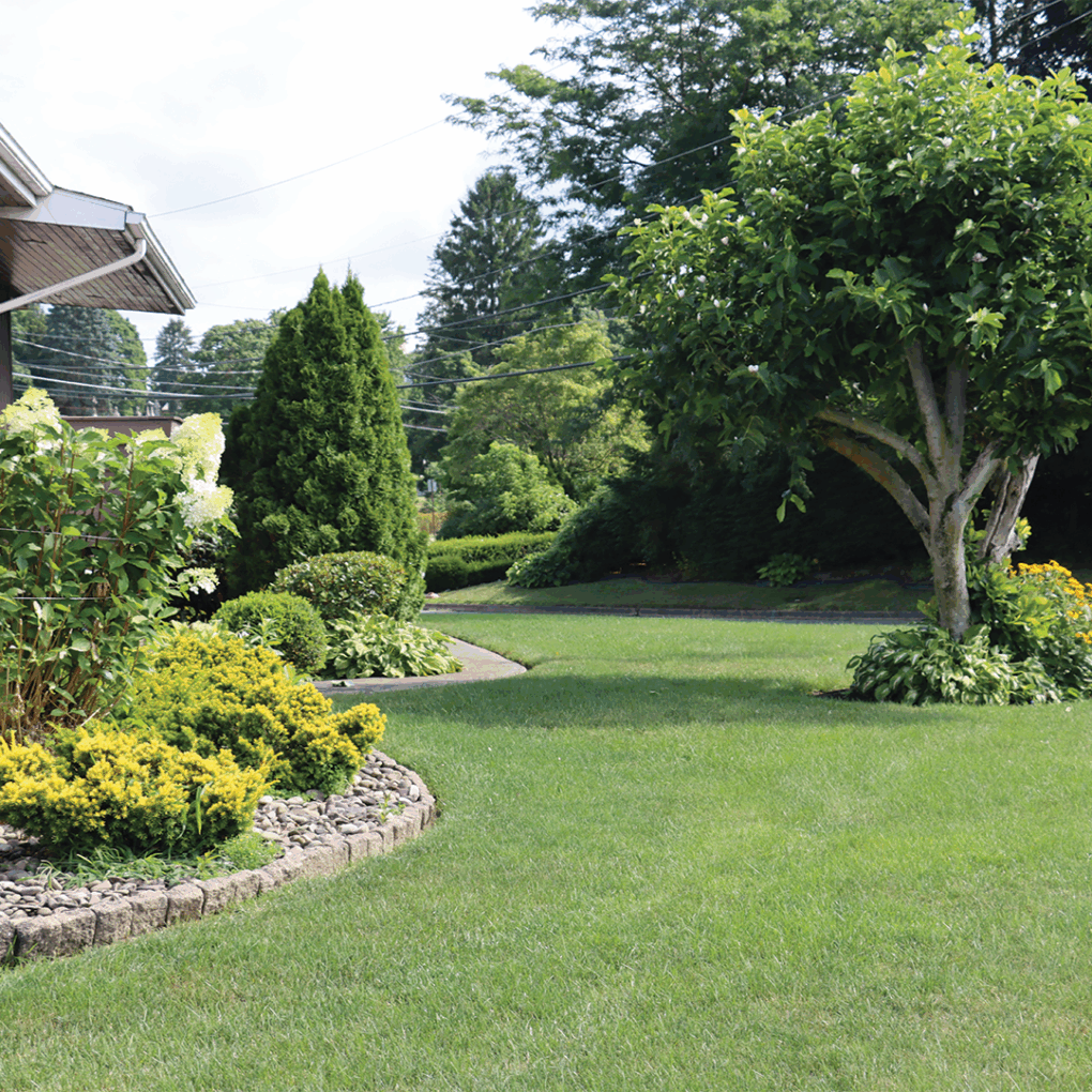 Lawn Care for Seniors in Hazleton, PA | Lawn Specialties